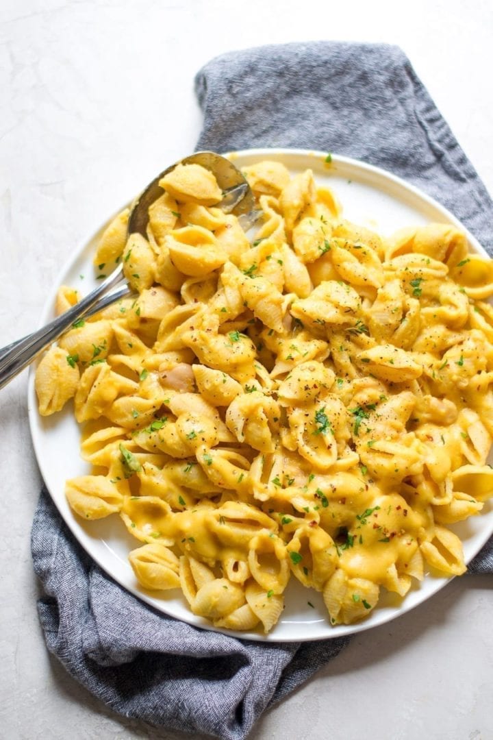 Creamy Butternut Squash and White Bean Shells - Sarcastic Cooking
