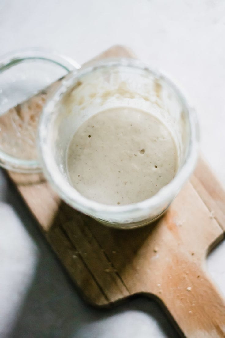 My Favorite Sourdough Baking Resources - Sarcastic Cooking